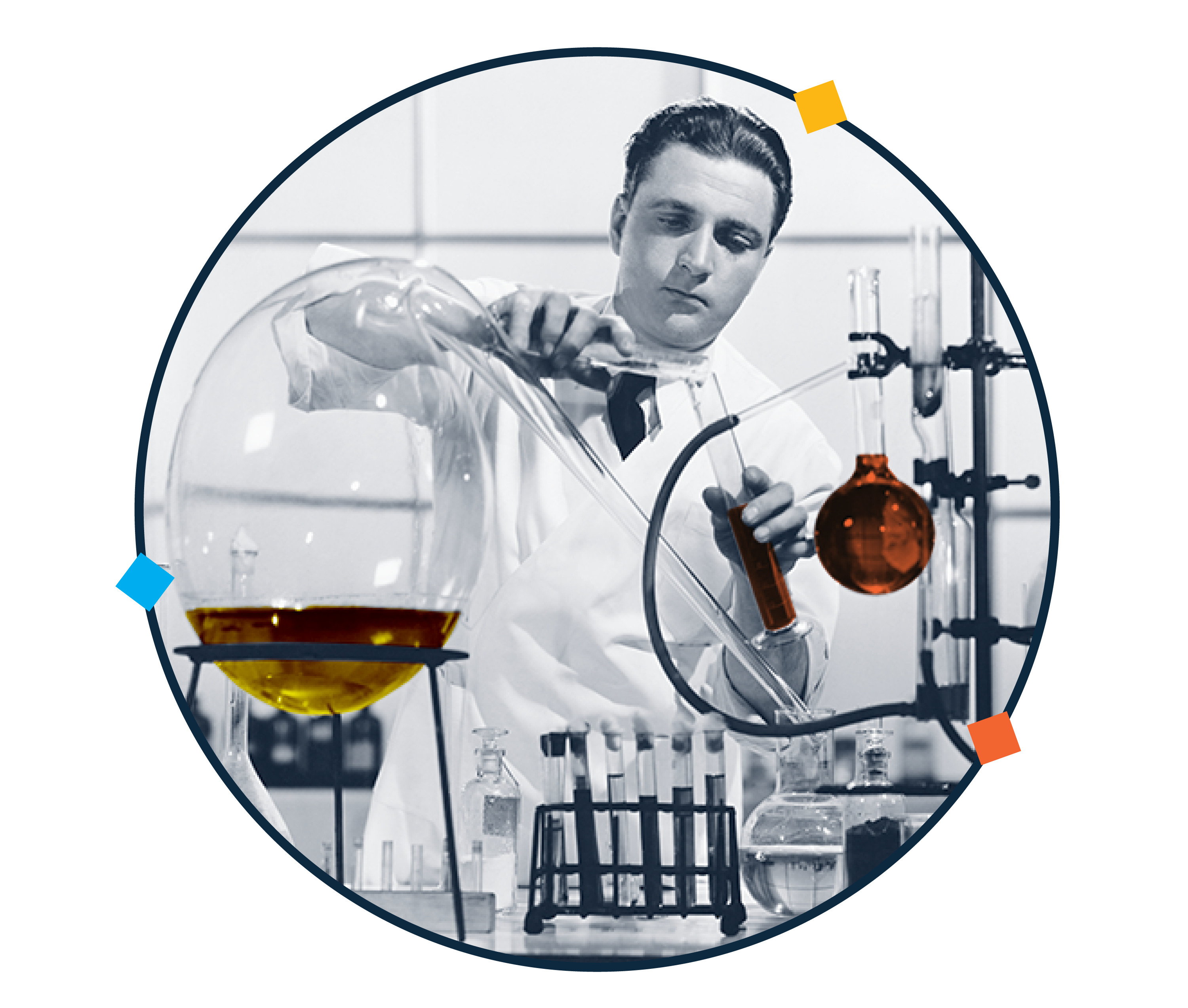 Courses & Lessons | GROWL Academy